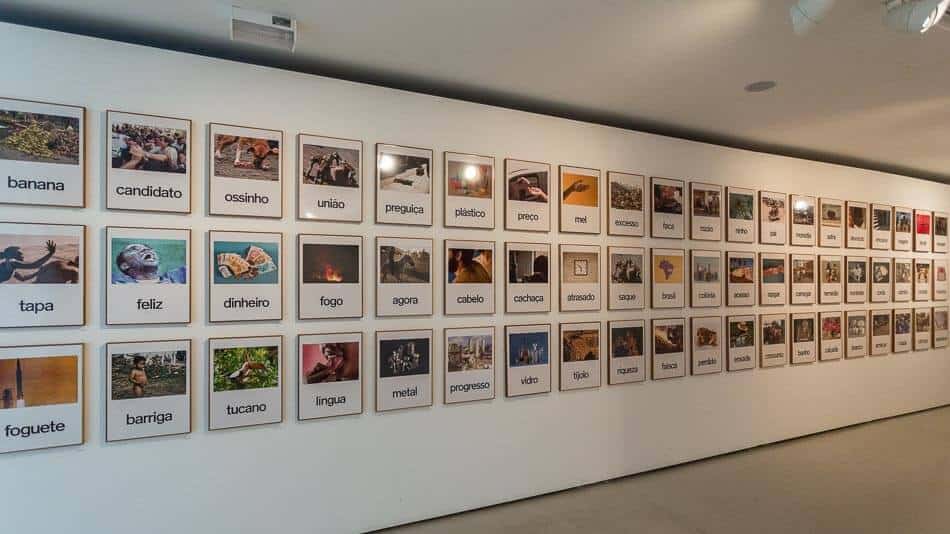 Por que você ainda não conhece o MAC USP, um museu incrível em SP?