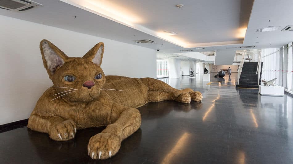 Por que você ainda não conhece o MAC USP, um museu incrível em SP?