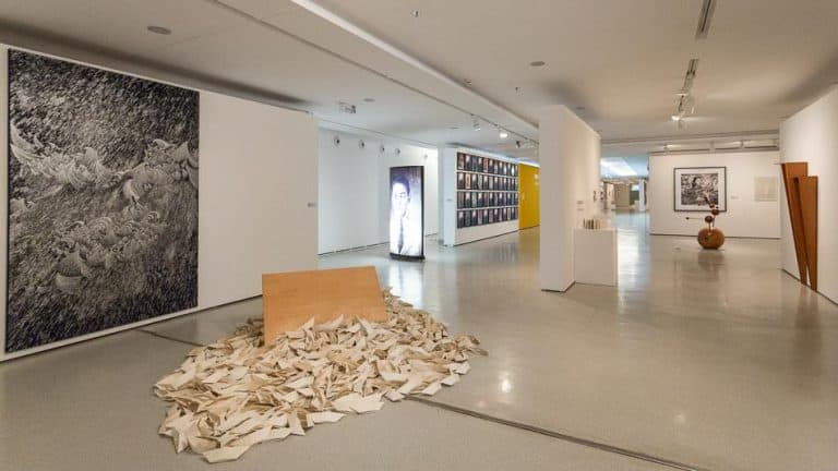 Por que você ainda não conhece o MAC USP, um museu incrível em SP?