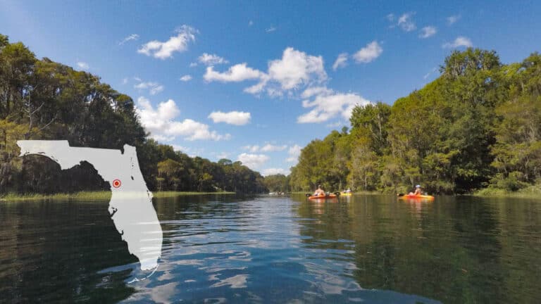 9 paraísos naturais na Flórida perto de Orlando e Miami