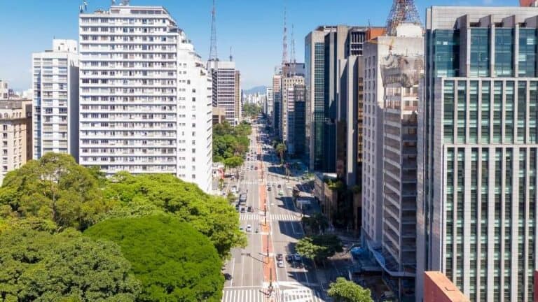 Melhores parques em SP (2025): +19 áreas verdes na capital