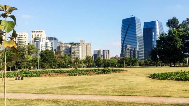 Melhores parques em SP (2025): +19 áreas verdes na capital