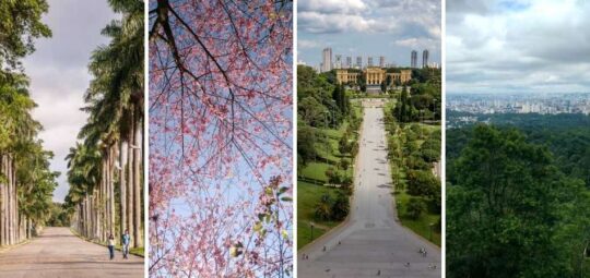 Melhores parques em SP (2025): +19 áreas verdes na capital
